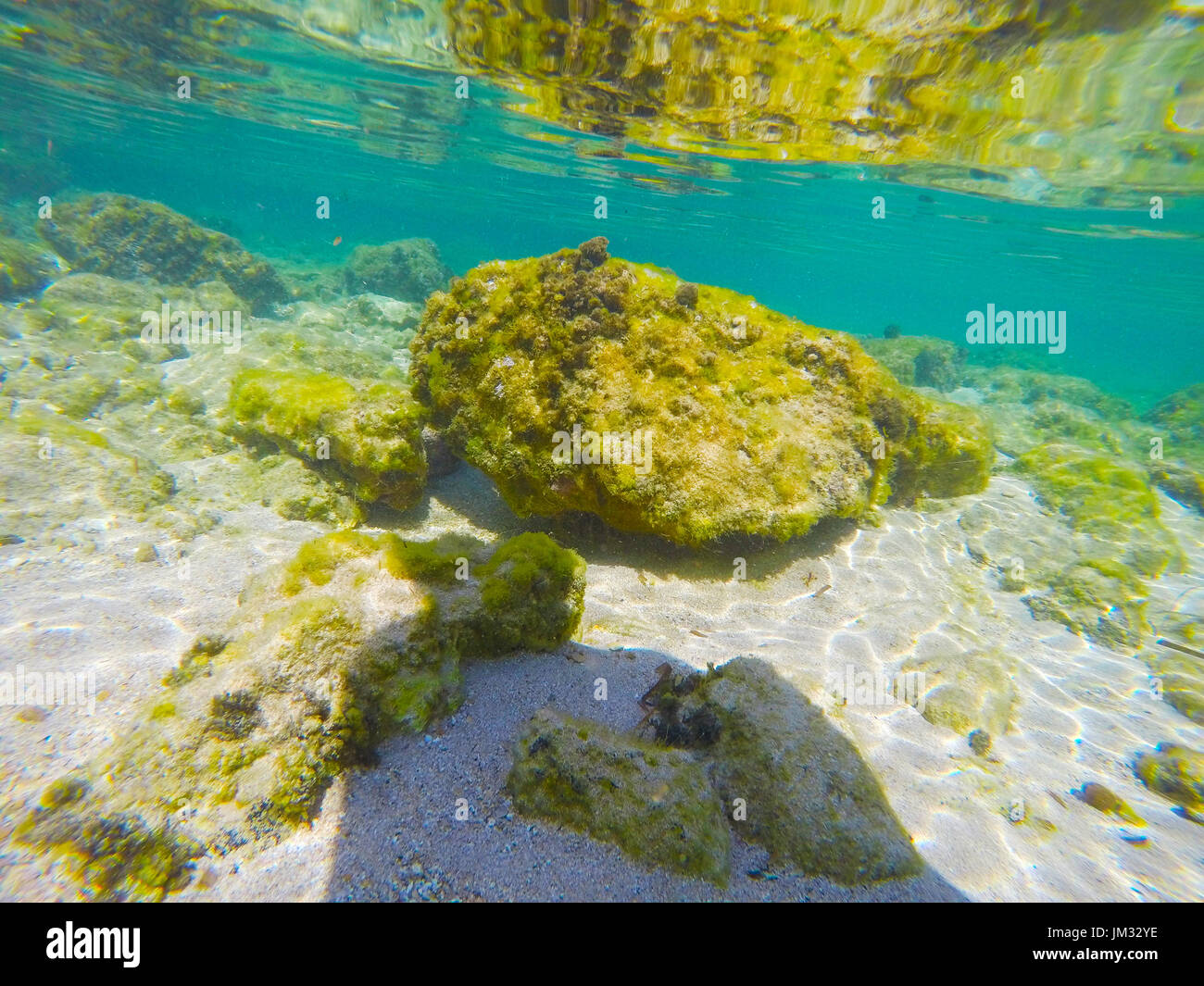 Colorful sea floor in Alghero Stock Photo - Alamy