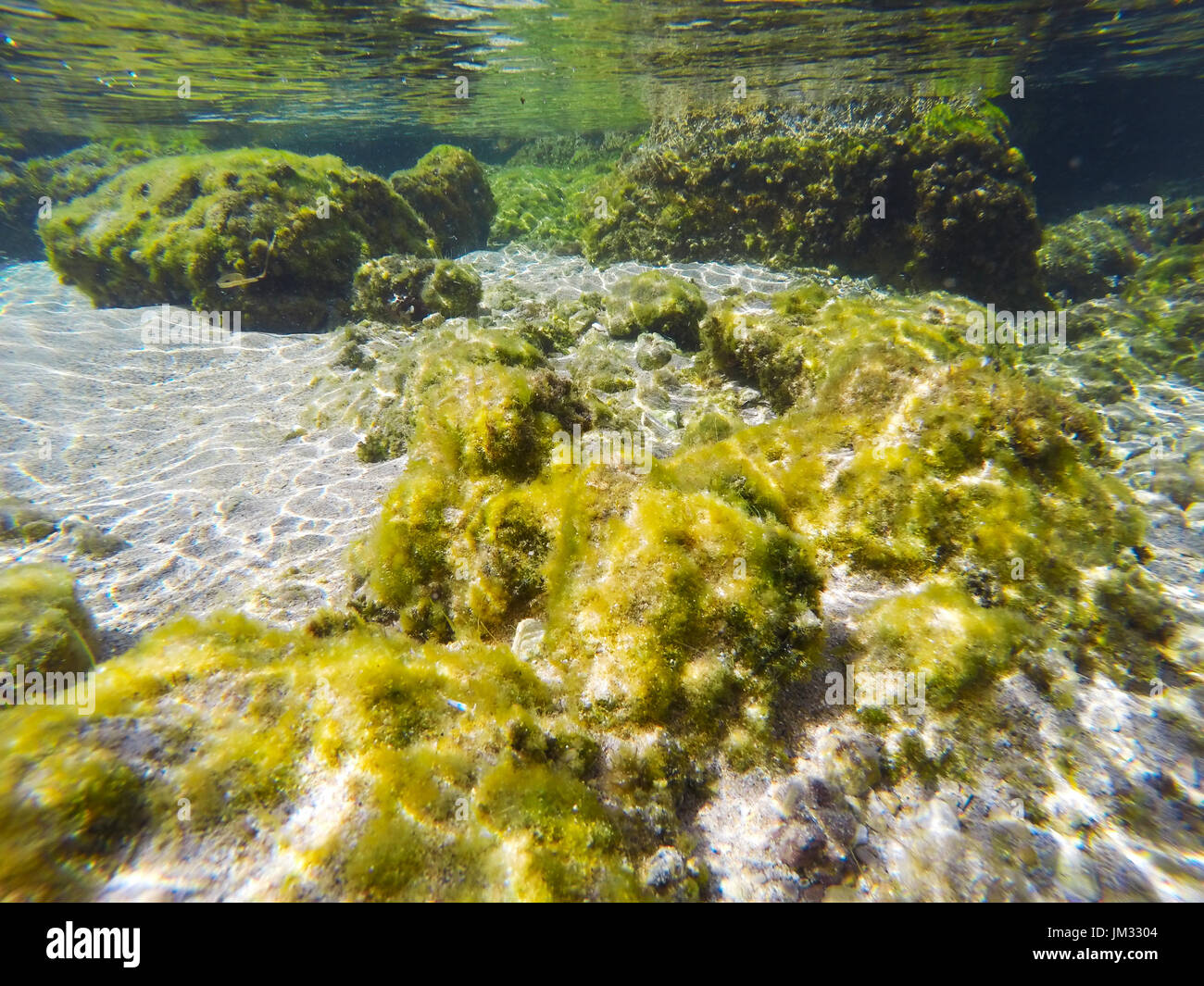 Colorful sea floor in Alghero Stock Photo - Alamy
