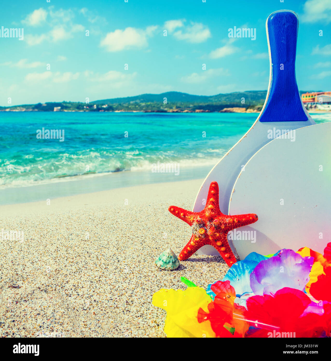 Rackets and sea star on the sand Stock Photo - Alamy