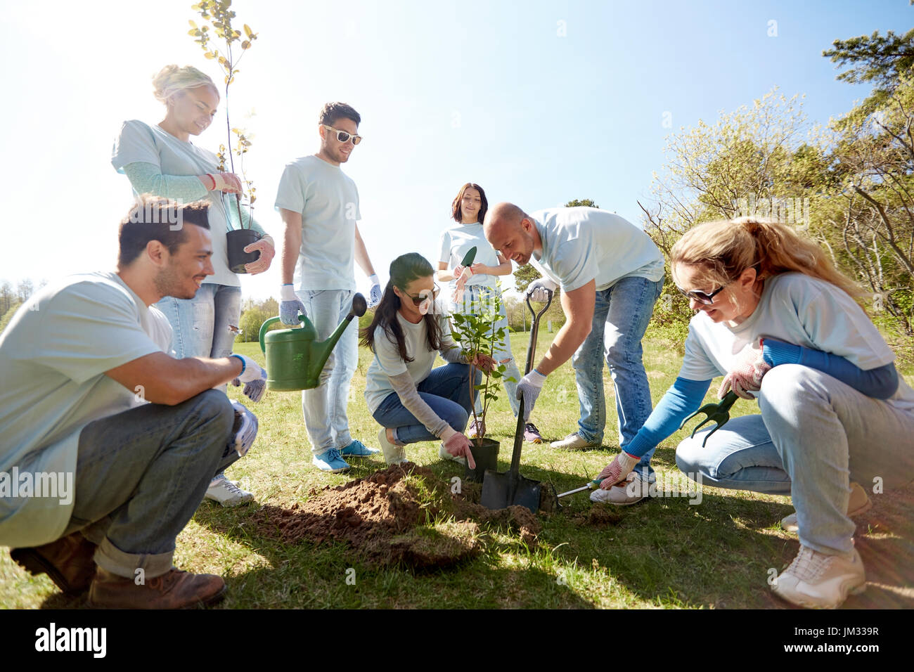 group of volunteers planting tree in park Stock Photo - Alamy