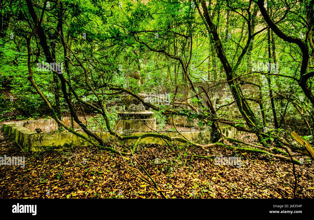 Ruin in the woods Stock Photo - Alamy
