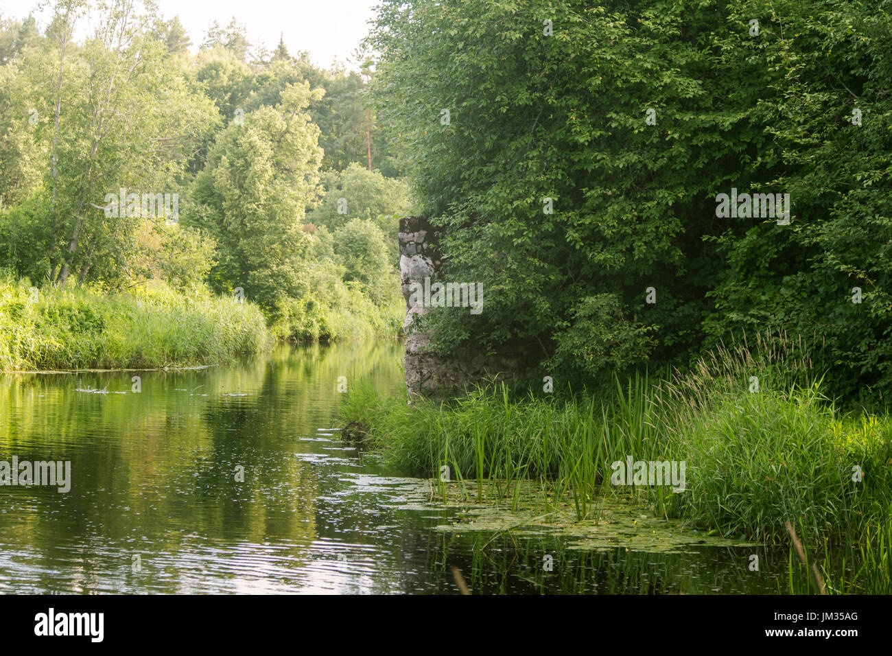 Meadow riverside forest hi-res stock photography and images - Alamy