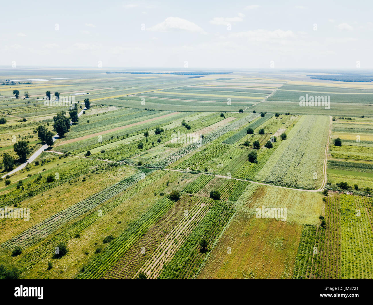 Aerial Drone View Of Green Agricultural Cultivated Fields Stock Photo ...