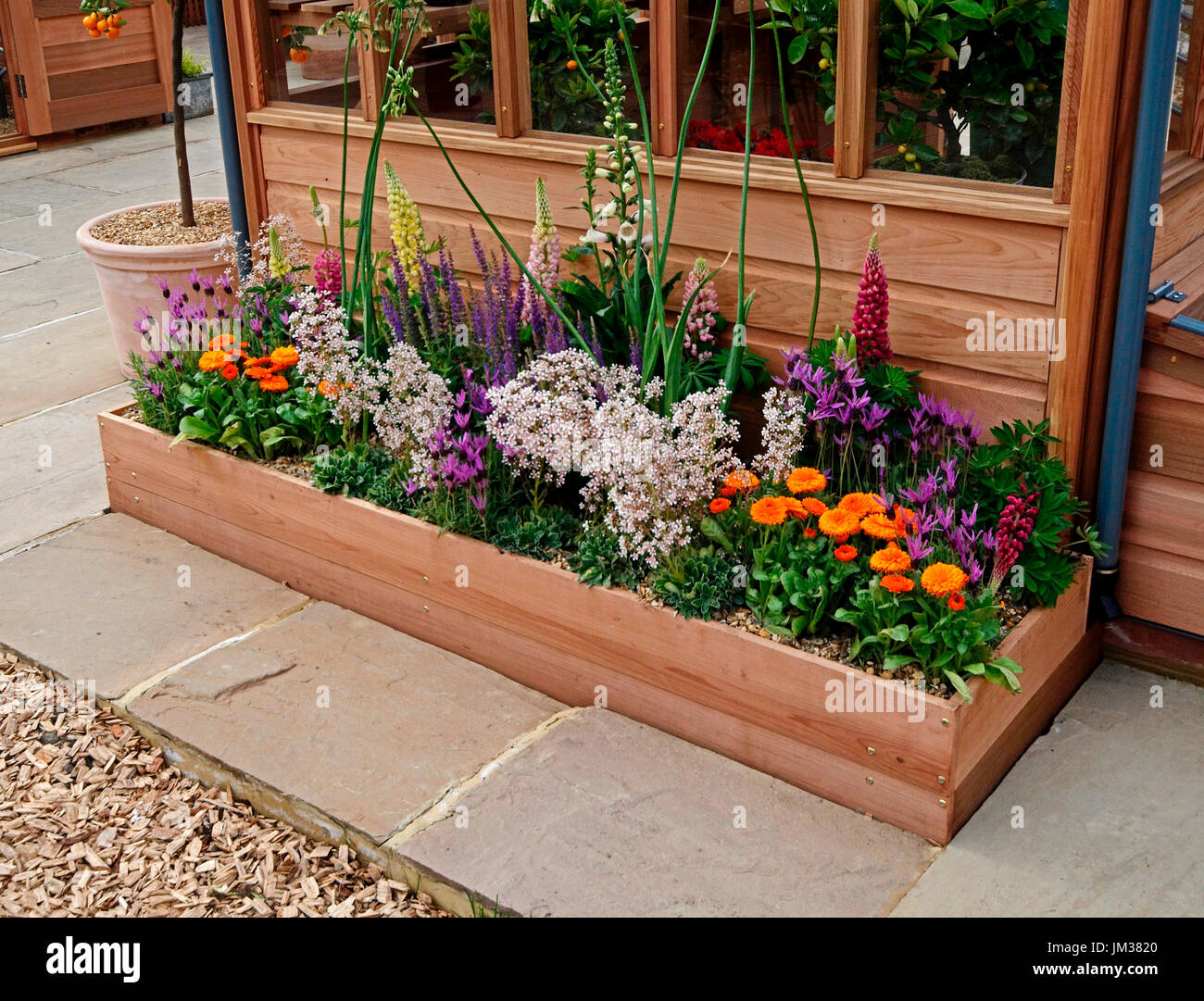 Greenhouse display with planting in a raised container Stock Photo - Alamy