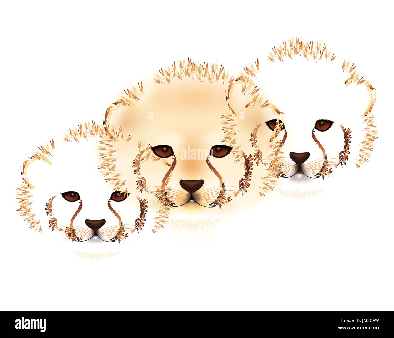 Cute Cheetah Cubs Drawings