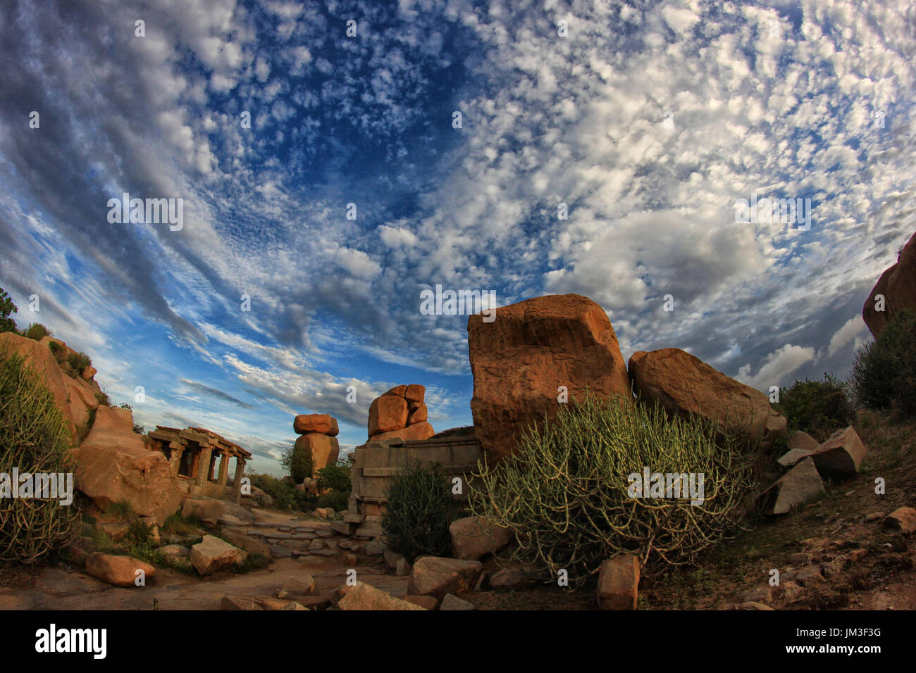 Mythical creature with elephant trunk, rabbit ear, horse body ...