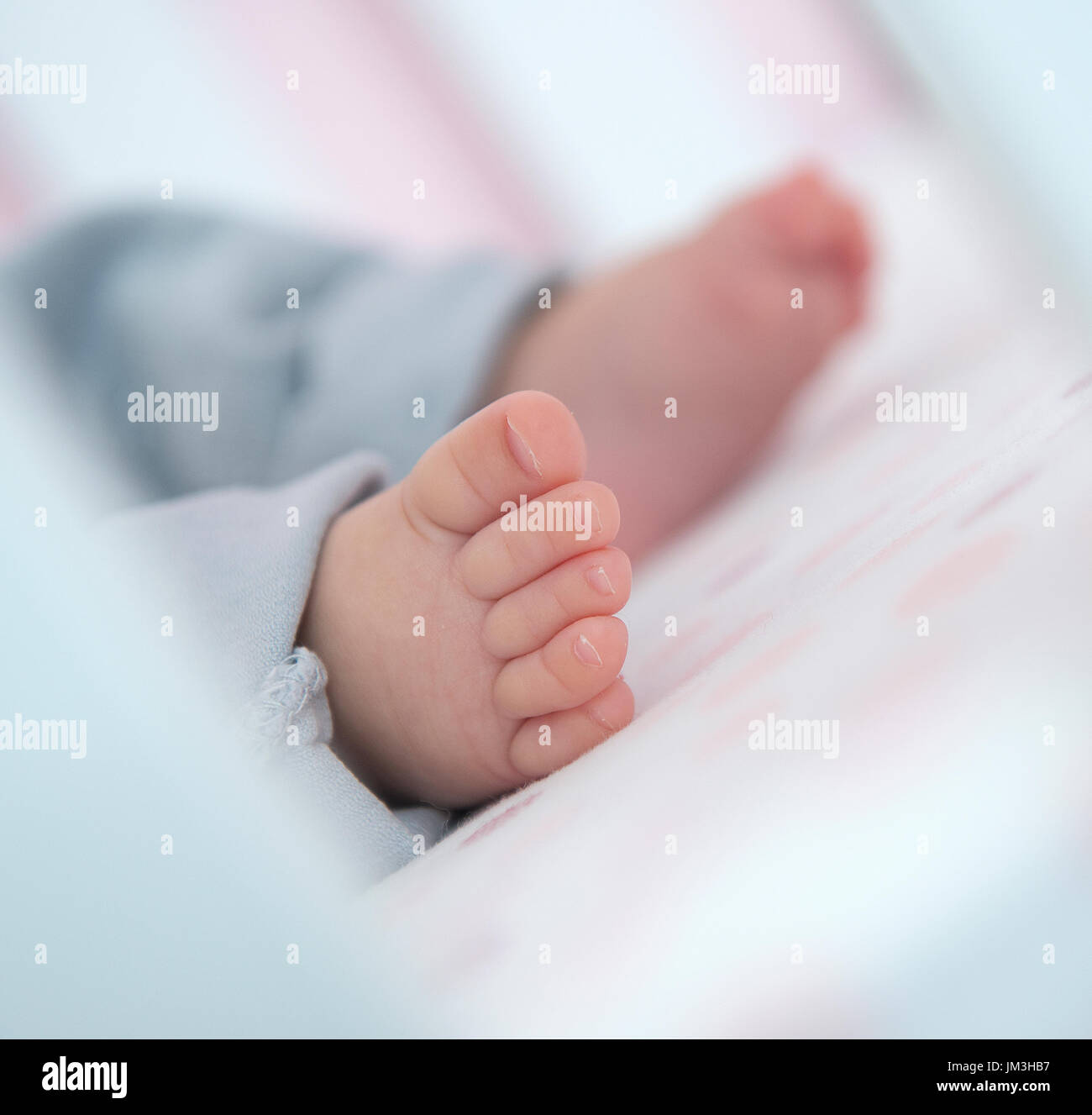 tiny barefoot newborn toes Stock Photo - Alamy