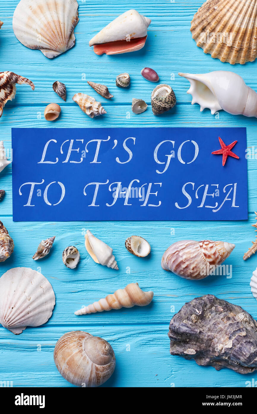 Paper with text, sea shells. Beautiful collection of natural marine ...