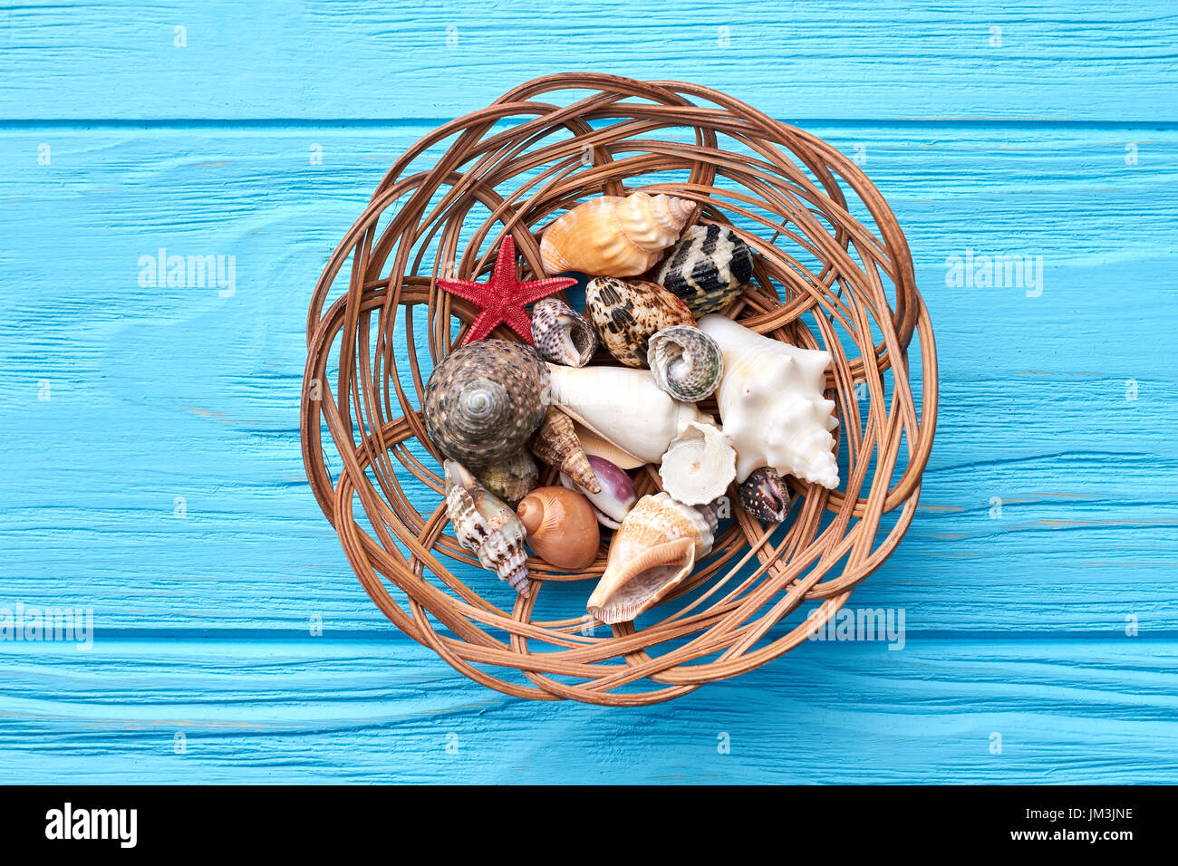 Basket full of sea shells. Oceanic shells in decorative basket, top ...