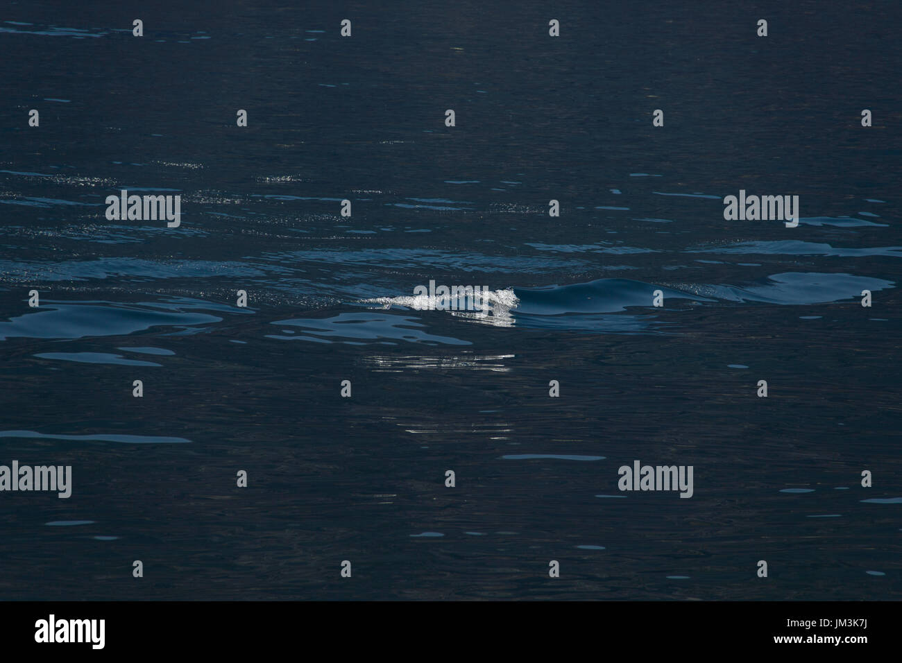 Sea surface water surface hi-res stock photography and images - Alamy