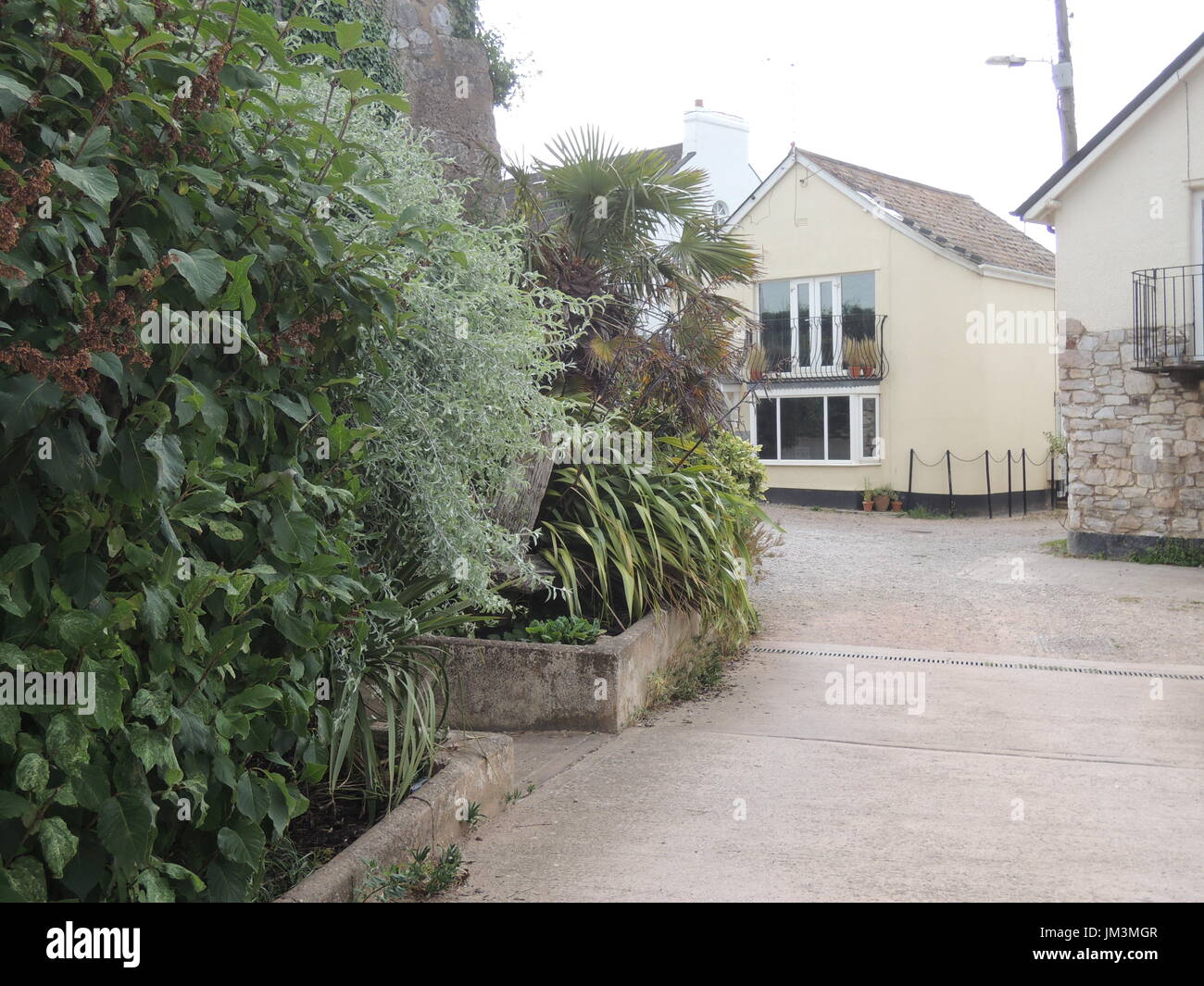 Lympstone village hi-res stock photography and images - Alamy
