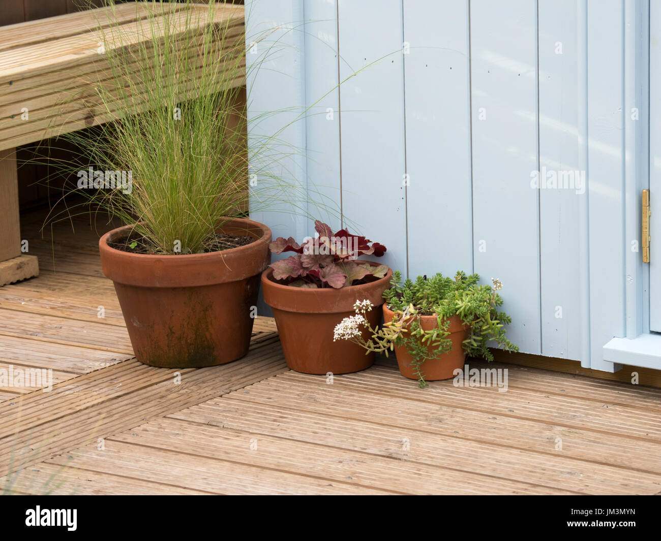 Potted plants outside a garden building Stock Photo - Alamy