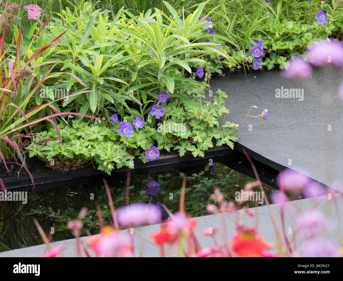 The Colour BOX Show Garden Designed by Charlie Bloom and Simon Webster ...