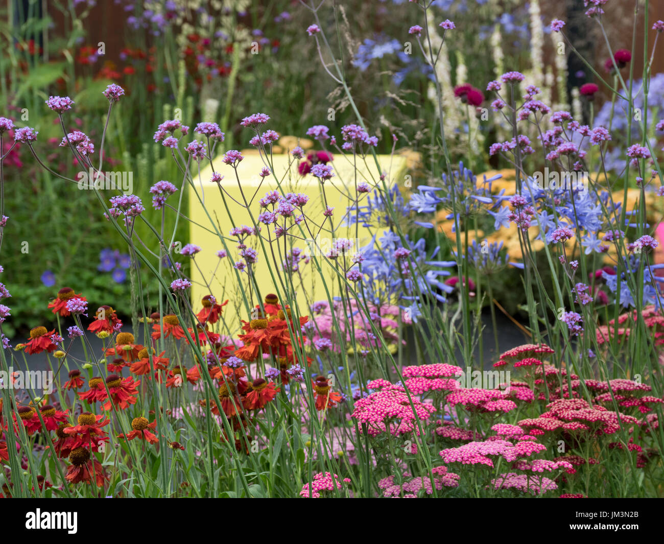 The Colour BOX Show Garden Designed by Charlie Bloom and Simon Webster ...
