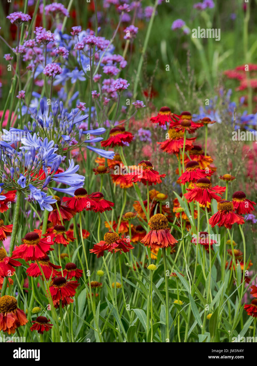 The Colour BOX Show Garden Designed by Charlie Bloom and Simon Webster ...