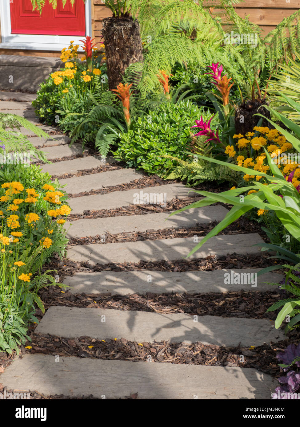 Tropical planting hi-res stock photography and images - Alamy