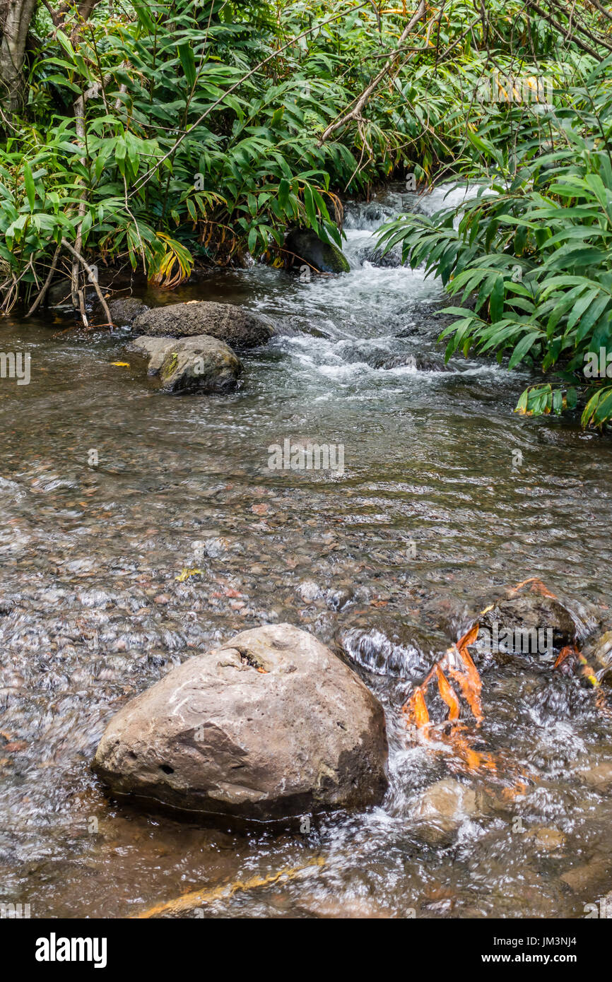 Iao river hi-res stock photography and images - Alamy