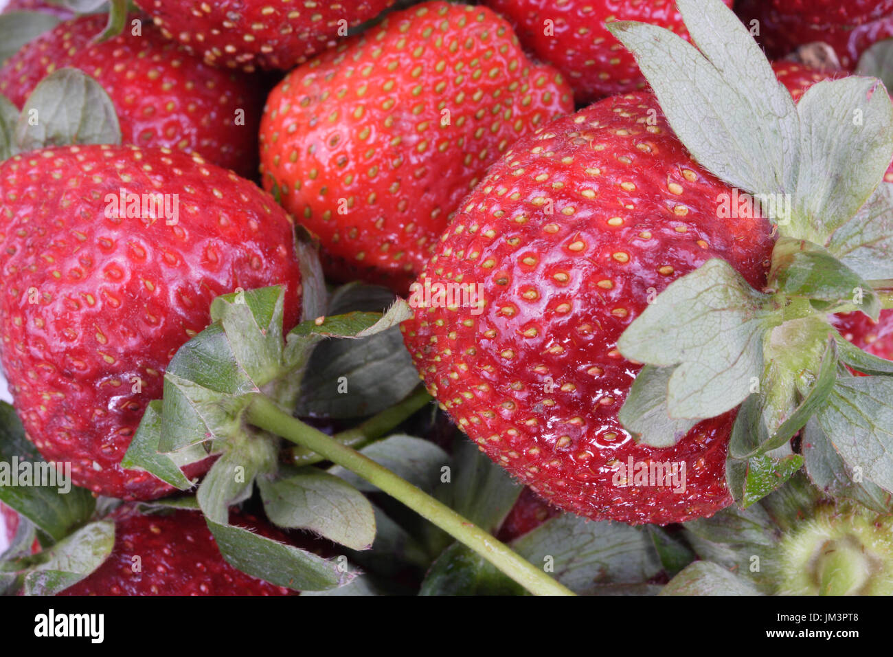many raw red Strawberry Stock Photo - Alamy