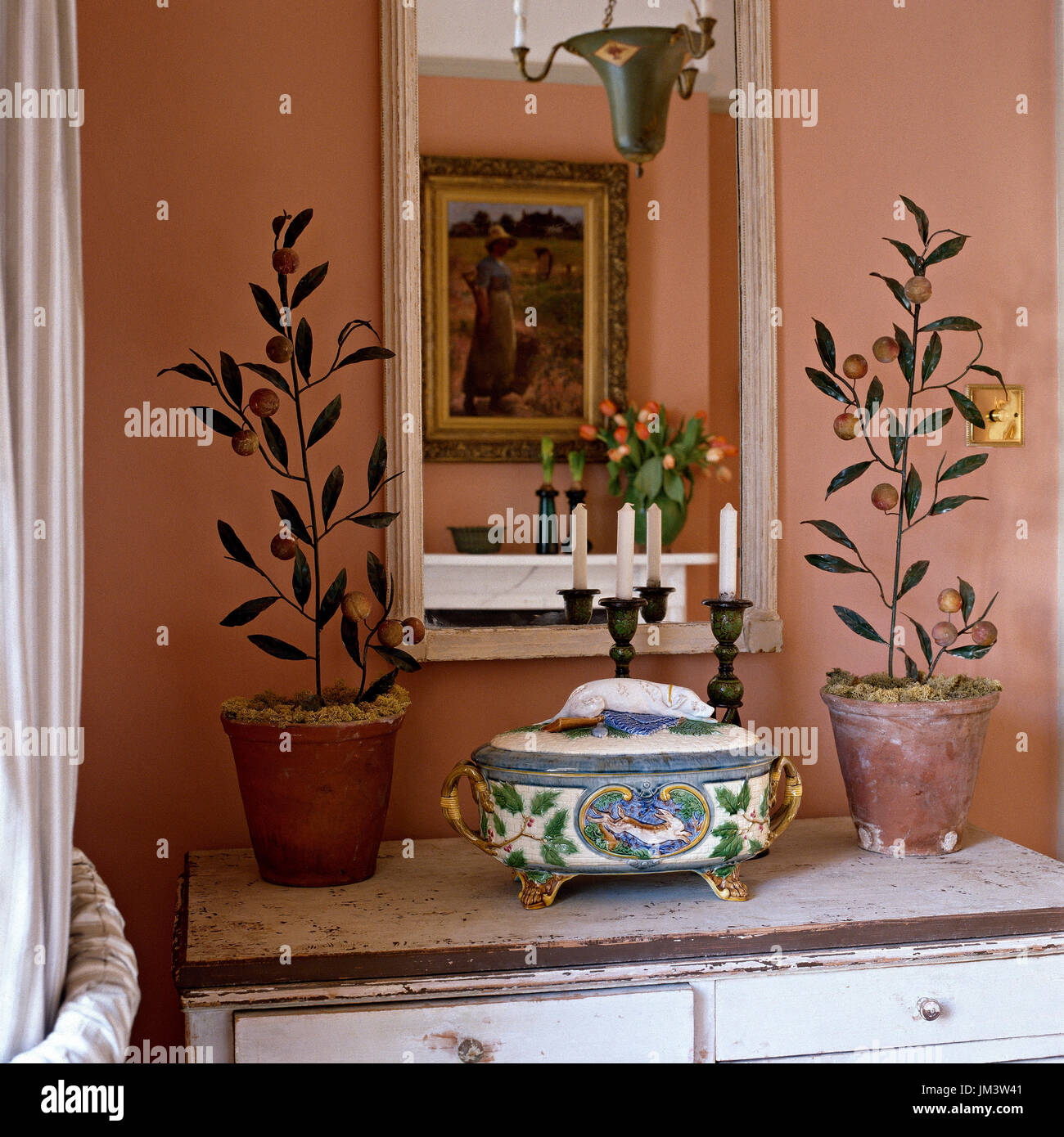 Decor houseplants on chest hi-res stock photography and images - Alamy