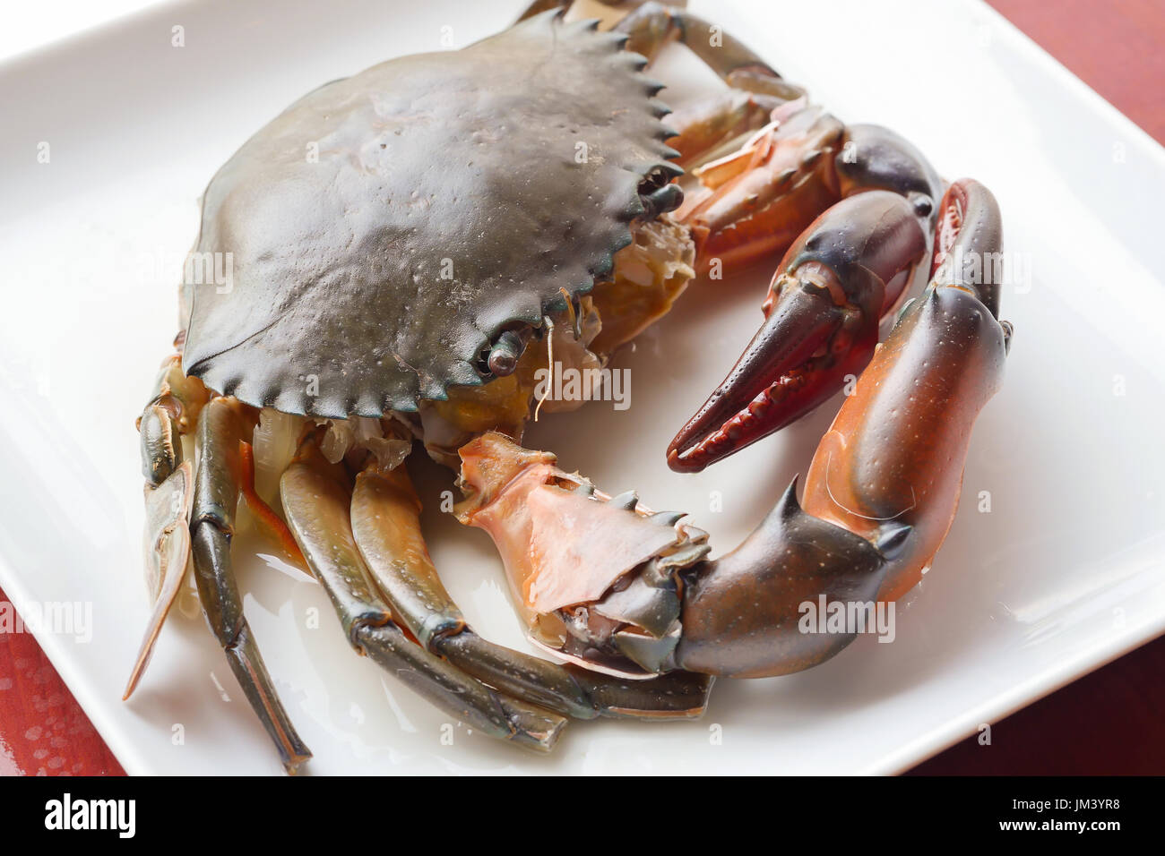 Mud crab hi-res stock photography and images - Alamy