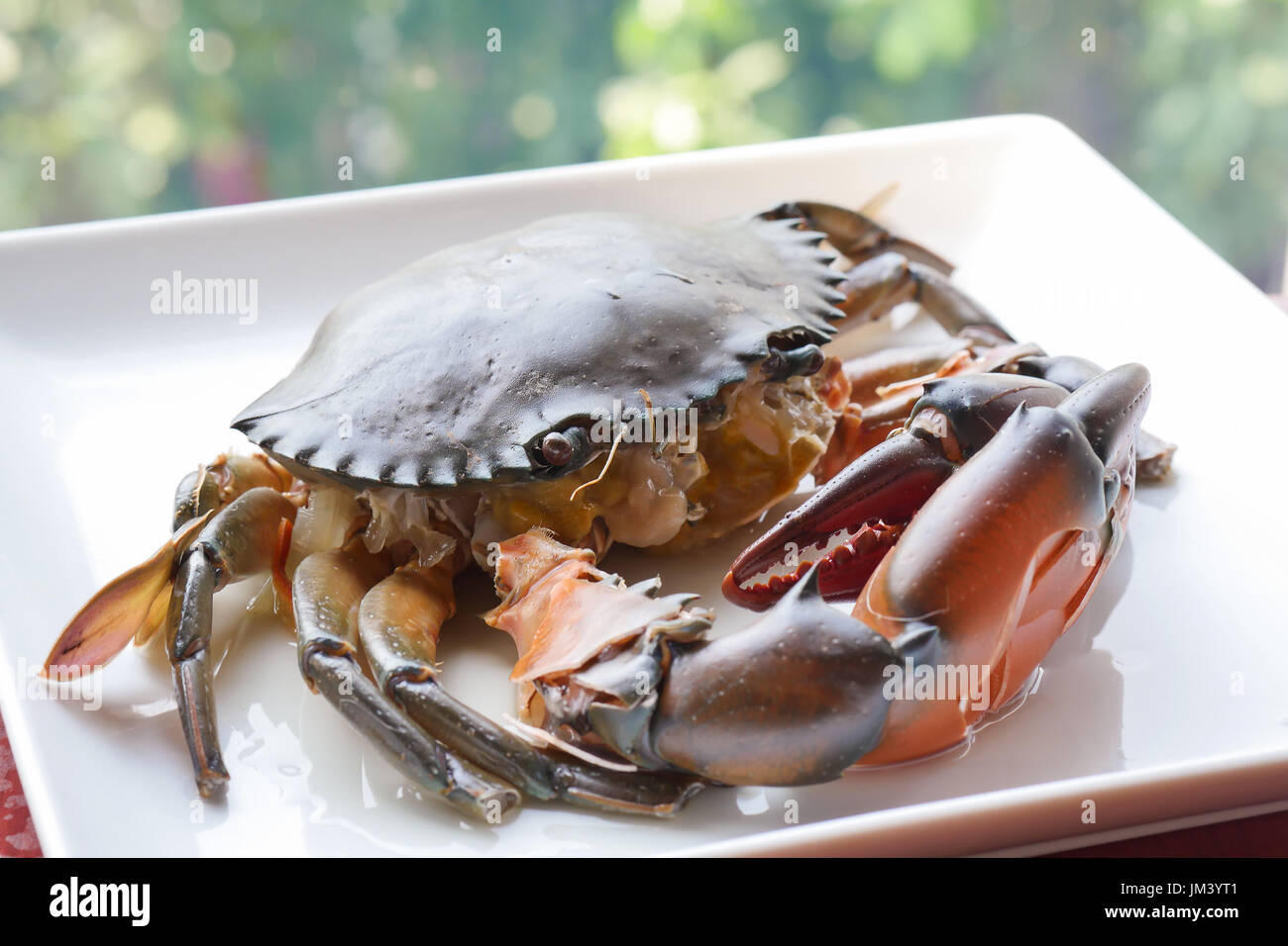 Chilli mud crab hi-res stock photography and images - Alamy