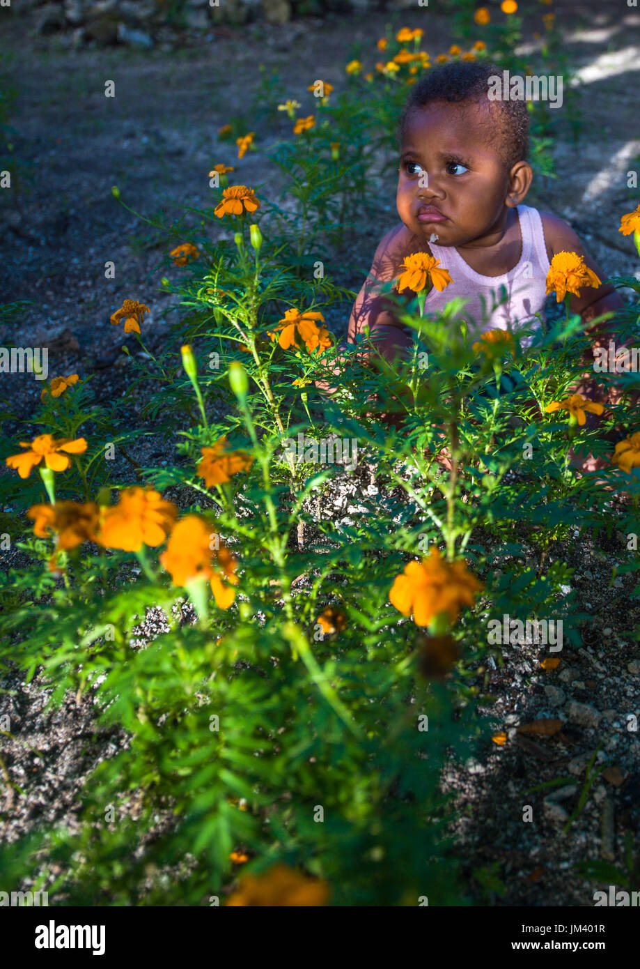 A todder sit in the middle of flowers in a garden, Shefa Province ...