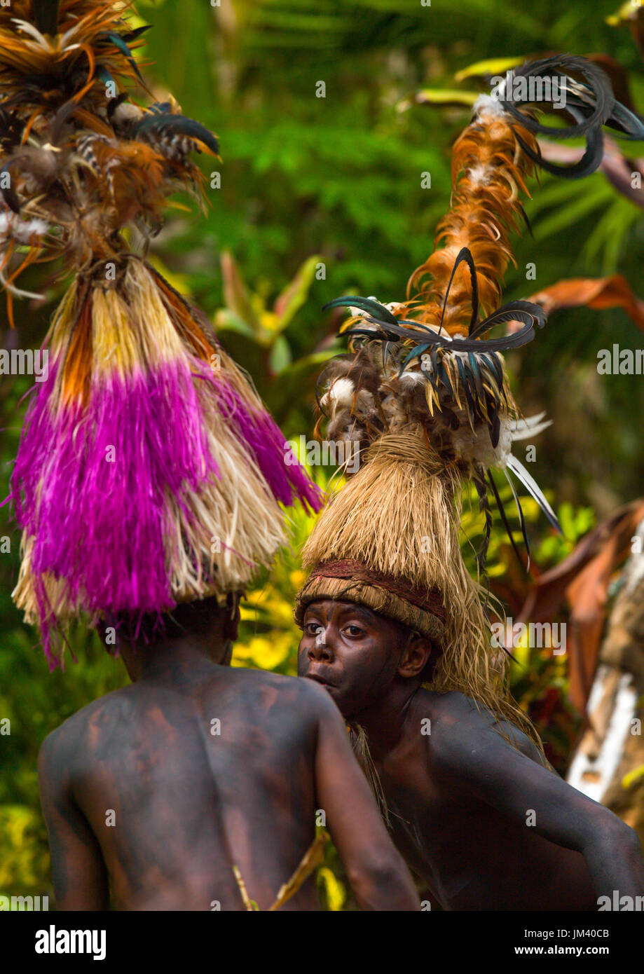 Small Nambas children with Big headdresses dancing during the palm tree ...