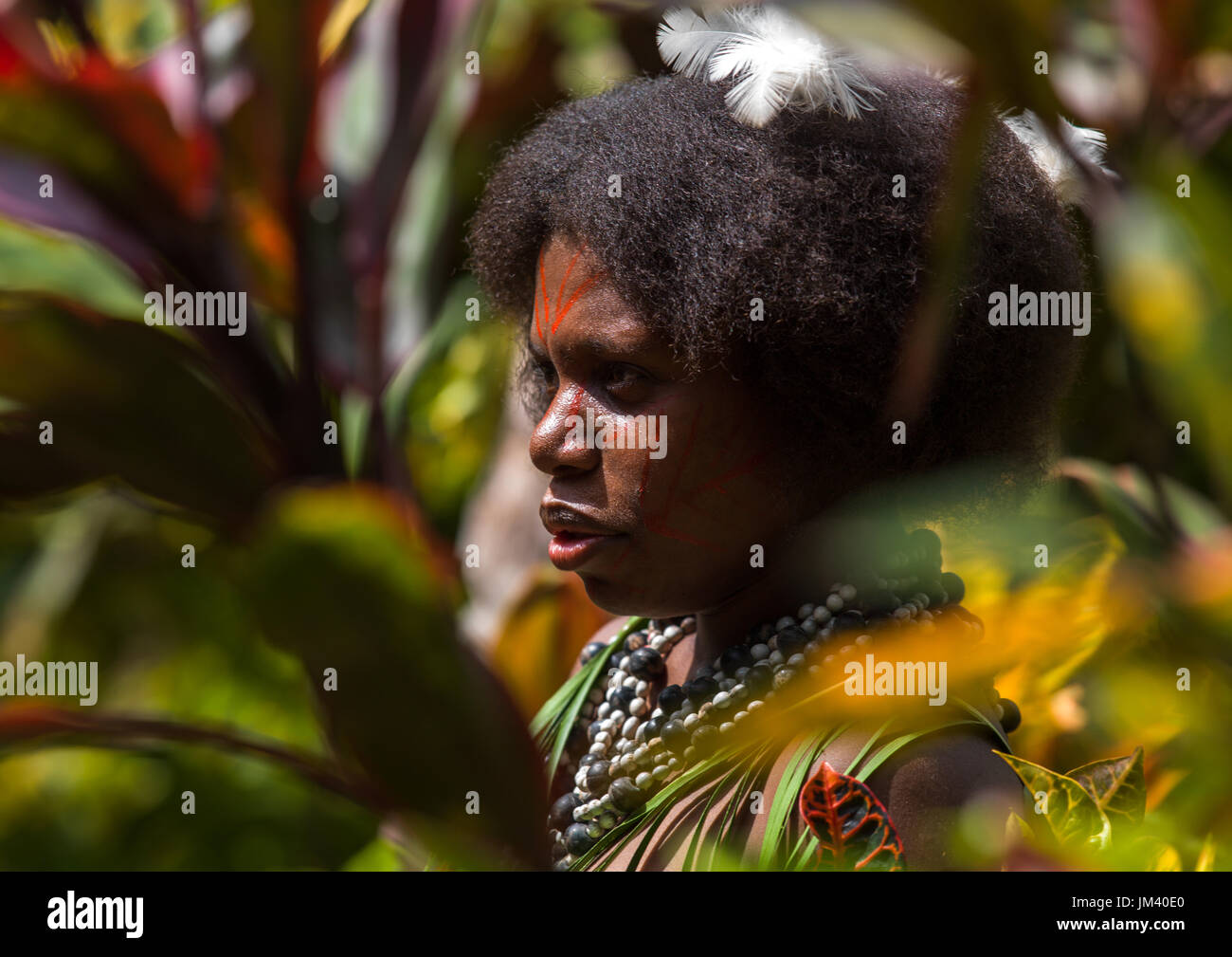 Malakula hi-res stock photography and images - Alamy