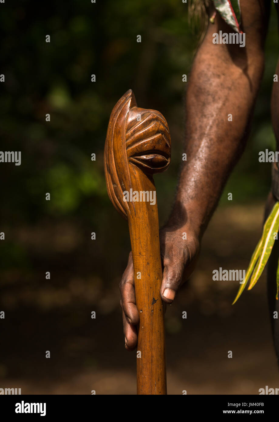 Chief walking stick cane used during the palm tree dance of the Small ...