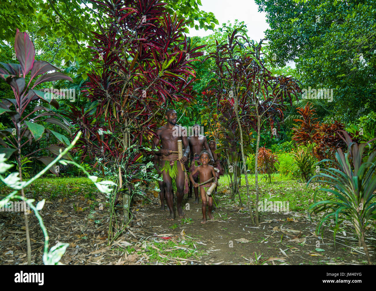 Tribesmen from Big nambas tribe dancing during a ceremony in the forest ...