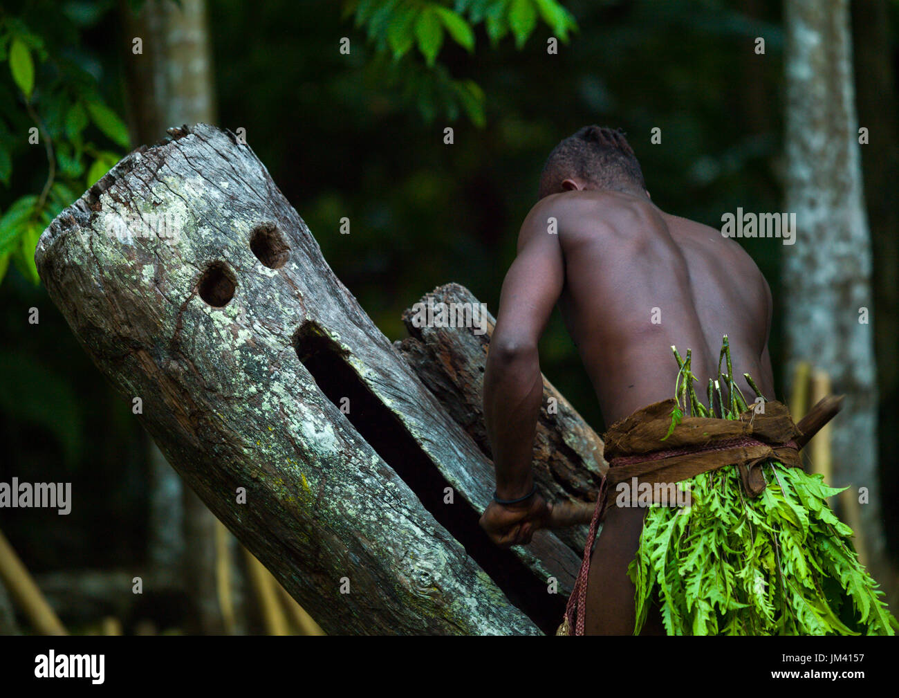 Big Nambas tribesman beating a slit drum during a ceremony, Malampa ...