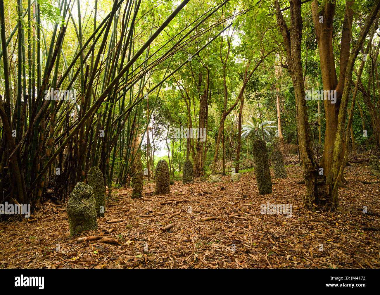 Amelbati site of former cannibal ceremonies, Malampa Province, Malekula ...