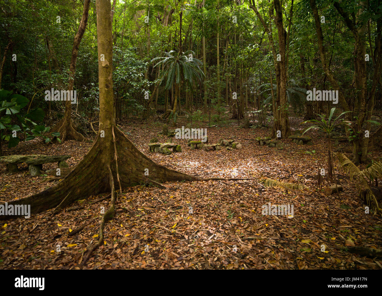 Amelbati site of former cannibal ceremonies, Malampa Province, Malekula ...