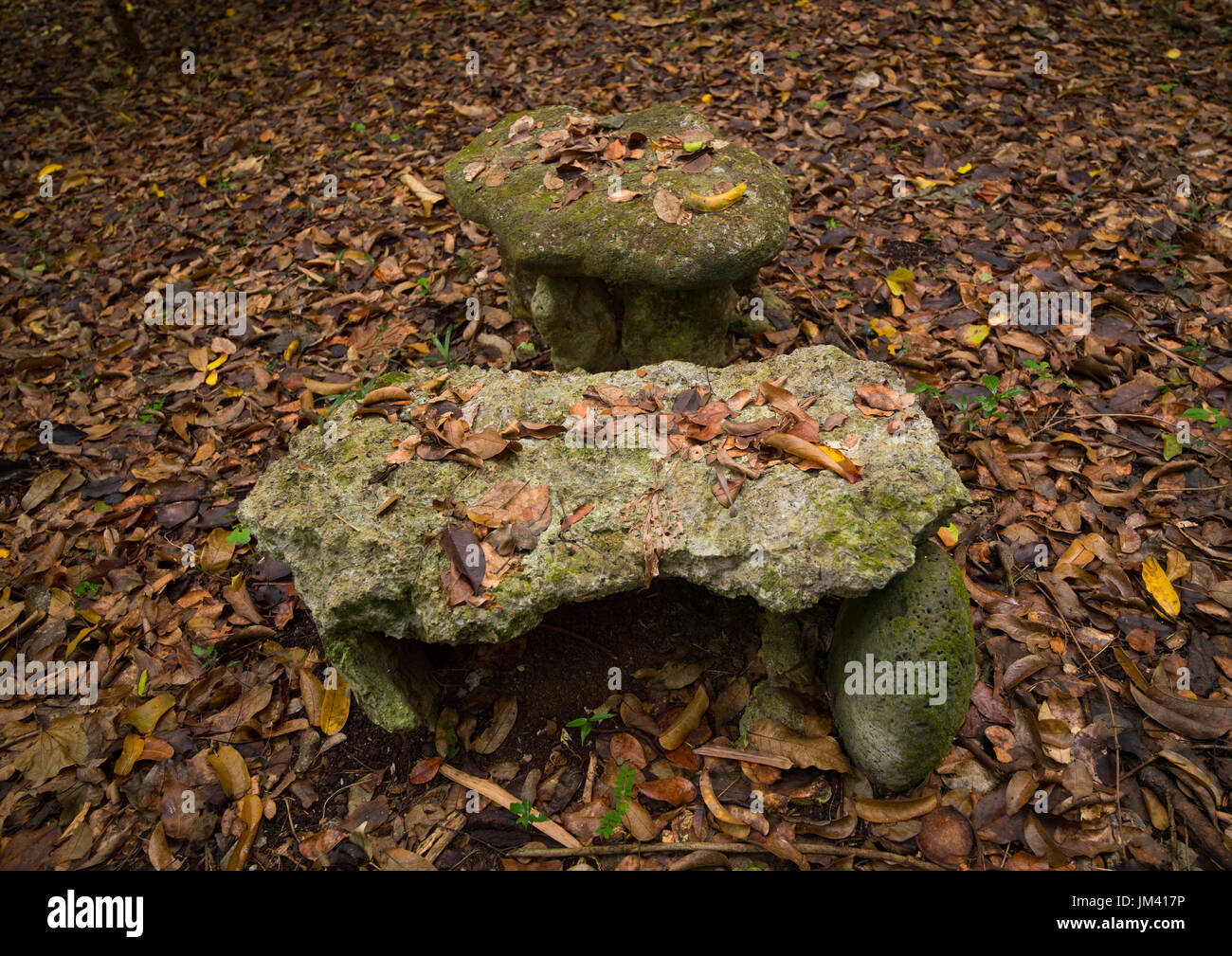 Sacrifice table in Amelbati cannibal site, Malampa Province, Malekula ...