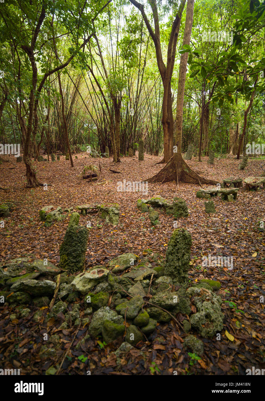 Amelbati site of former cannibal ceremonies, Malampa Province, Malekula ...