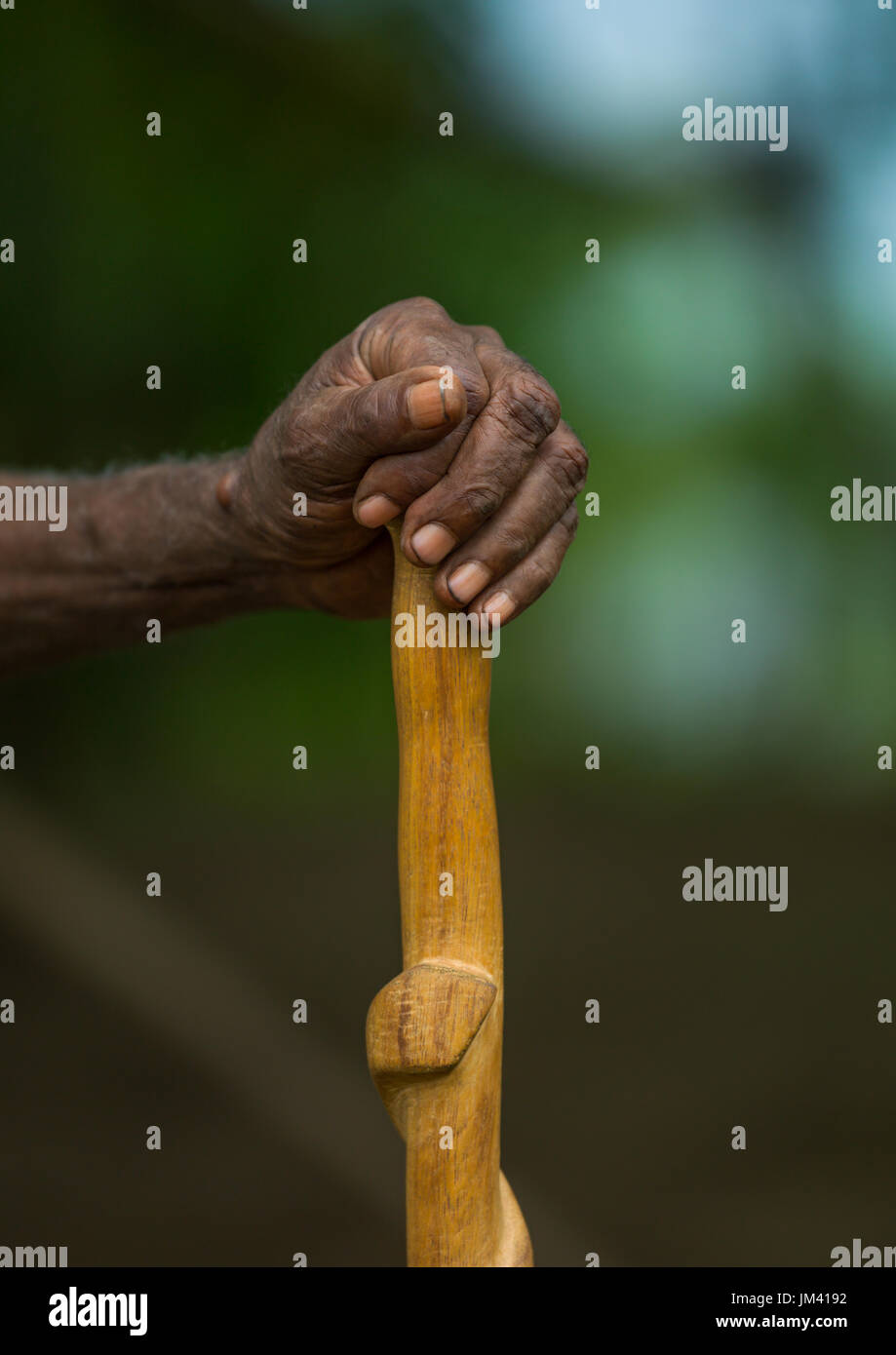 Chief walking stick cane in the Big Nambas tribe, Malampa Province ...