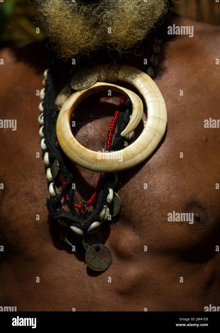 Circular pig tusk used as a necklace, Ambrym island, Fanla, Vanuatu ...