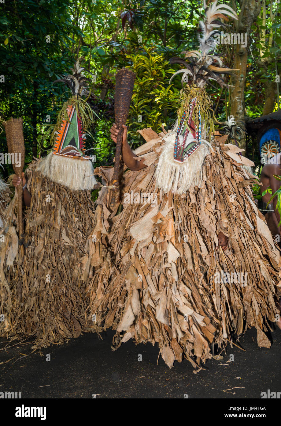 Tribesmen dressed in colorful masks and costumes made from the leaves ...