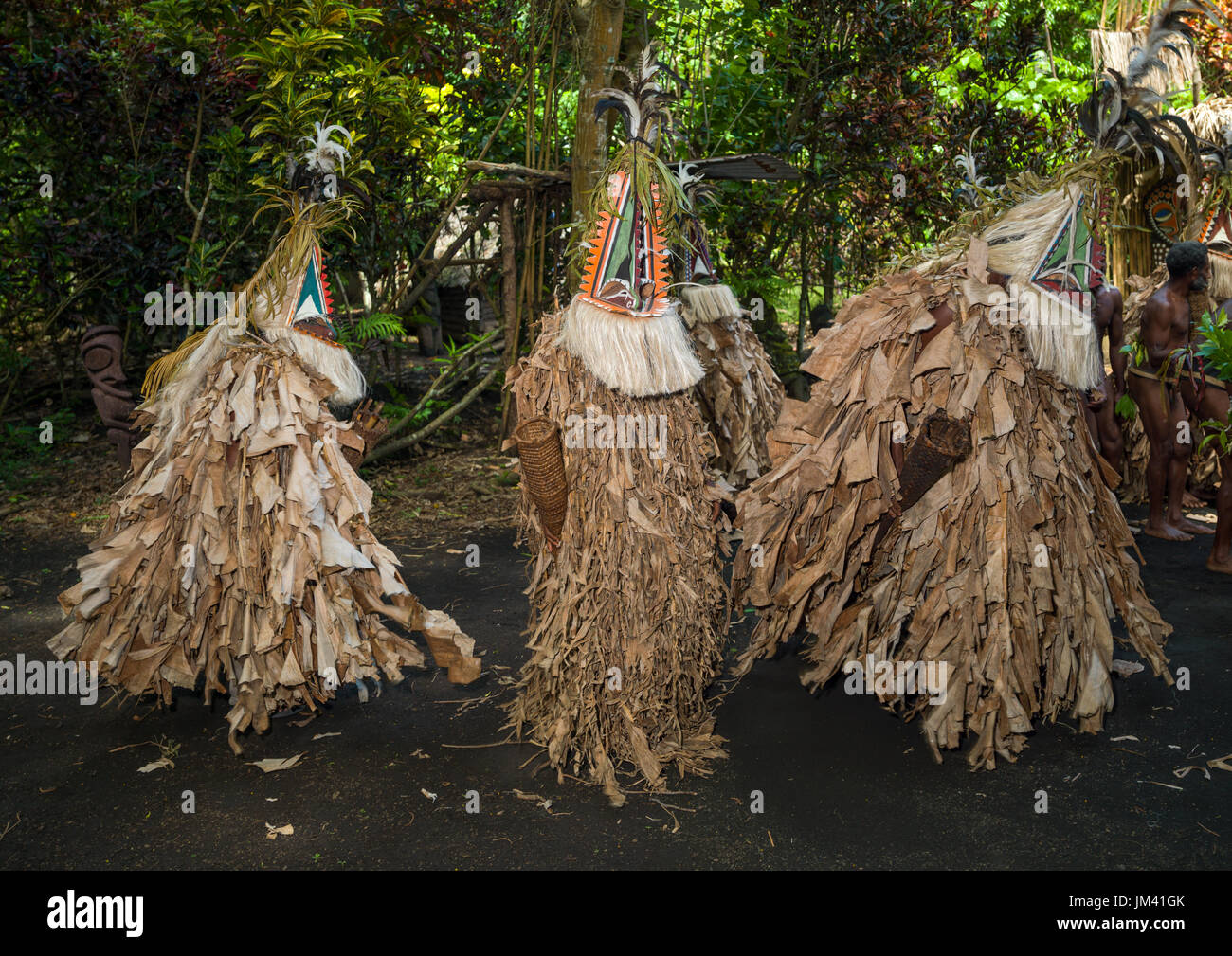 Tribesmen dressed in colorful masks and costumes made from the leaves ...