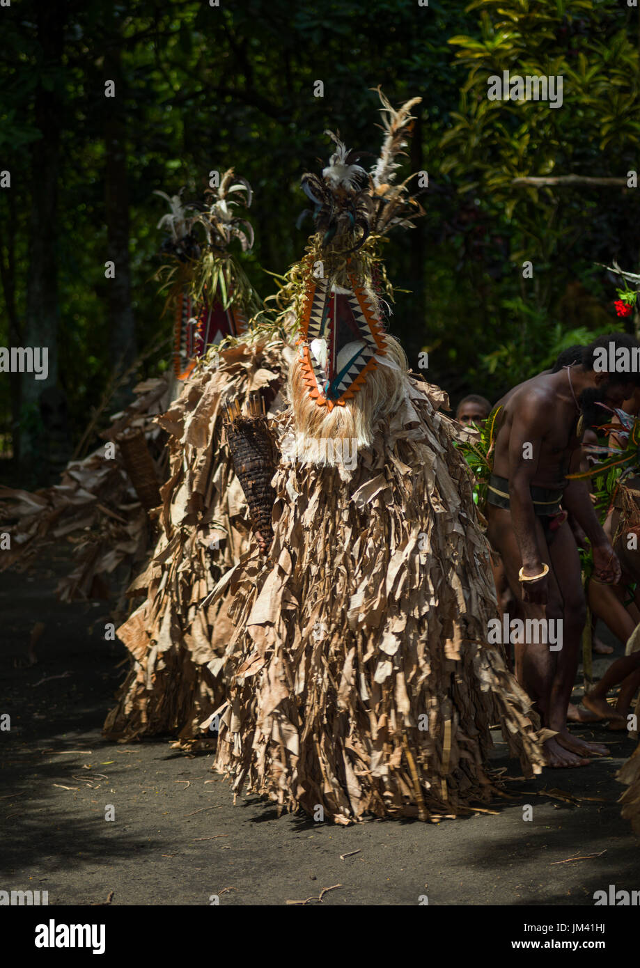Tribesmen dressed in colorful masks and costumes made from the leaves ...