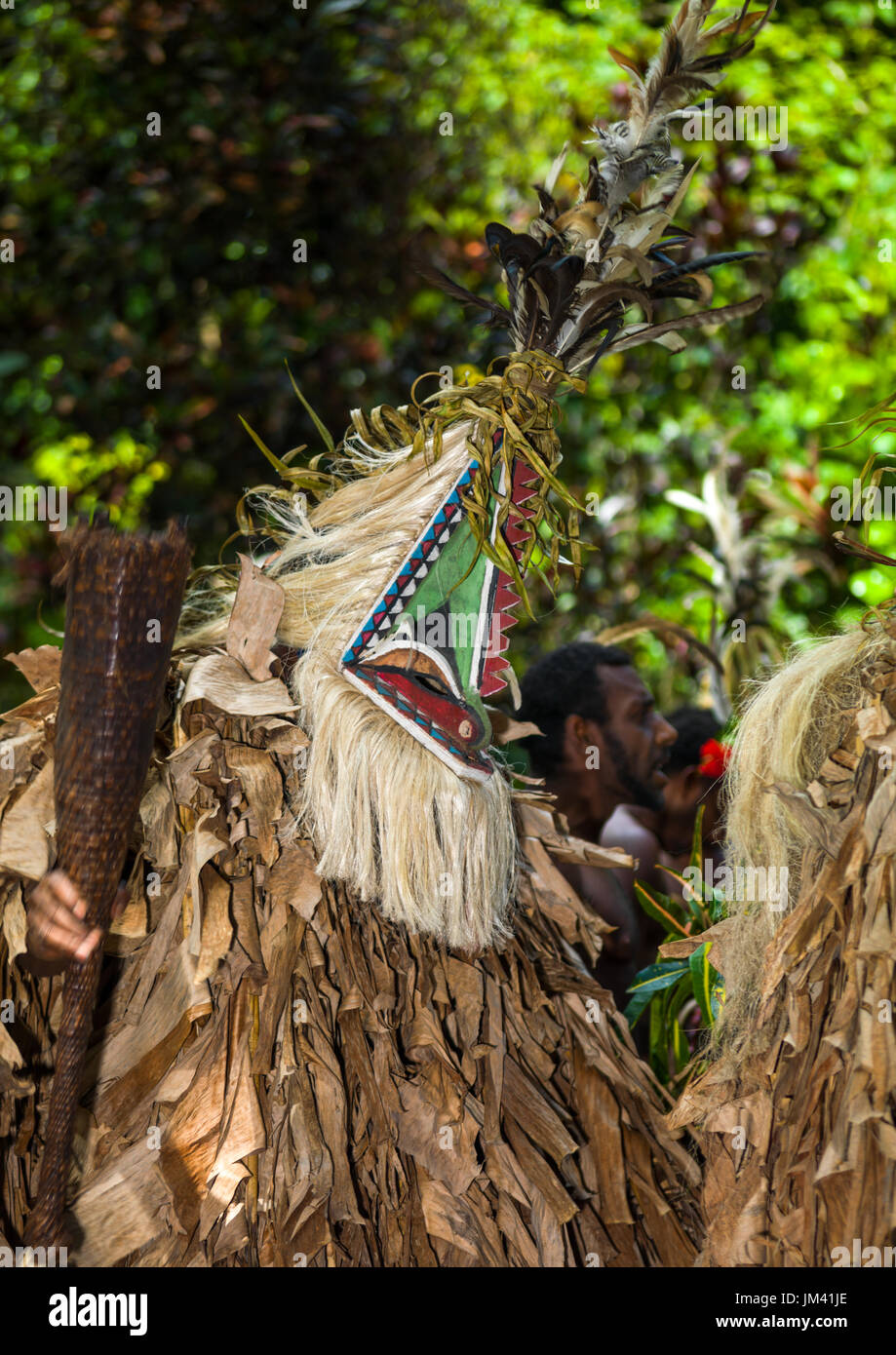 Tribesmen dressed in colorful masks and costumes made from the leaves ...