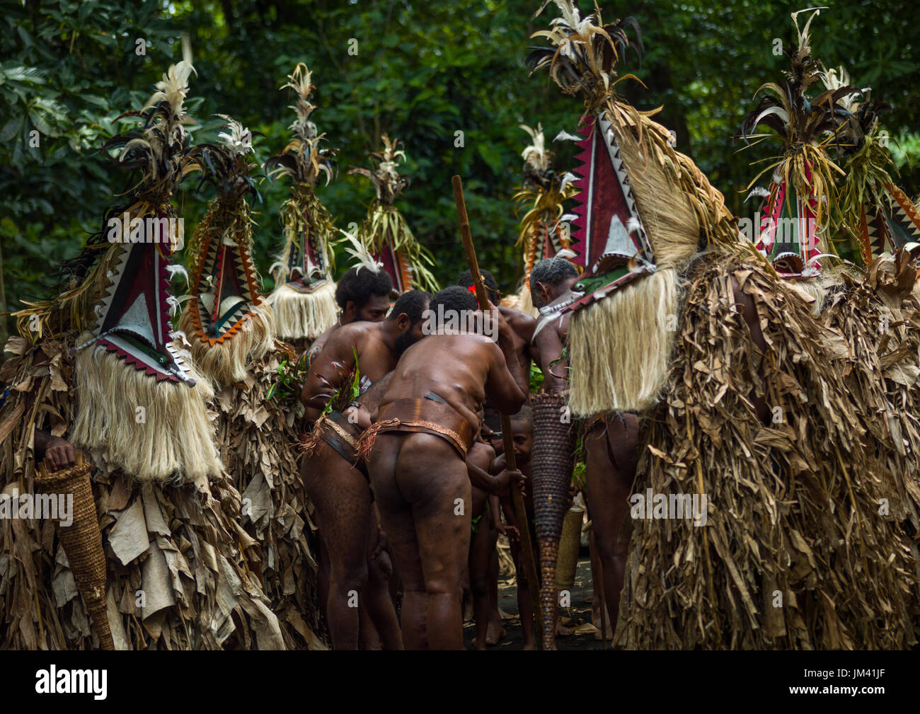 Tribesmen dressed in colorful masks and costumes made from the leaves ...