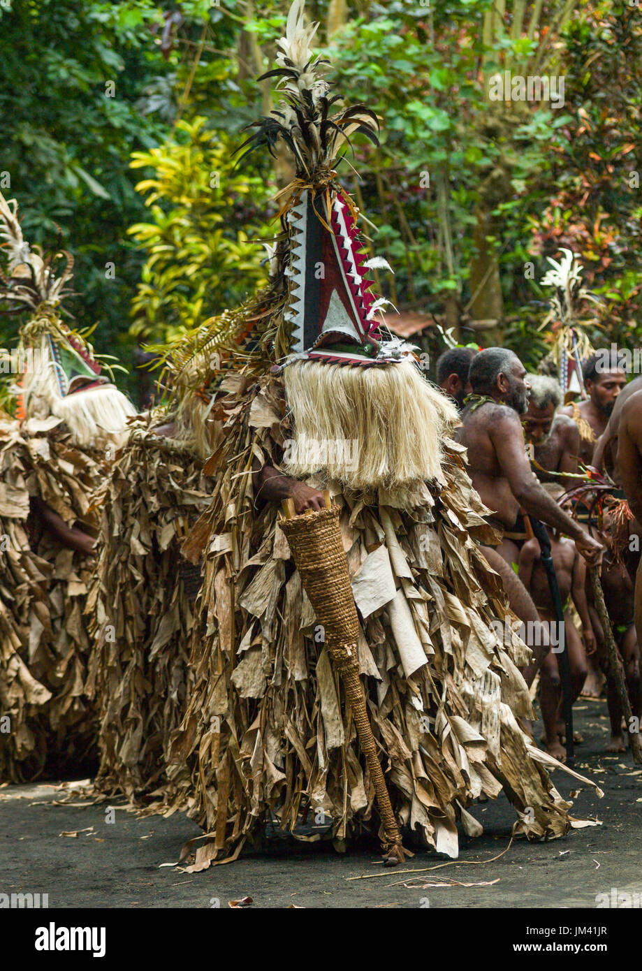 Tribesmen dressed in colorful masks and costumes made from the leaves ...
