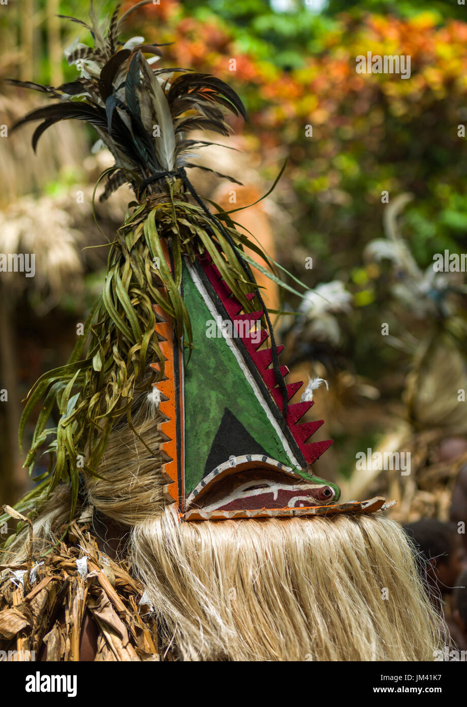Tribesmen dressed in colorful masks and costumes made from the leaves ...