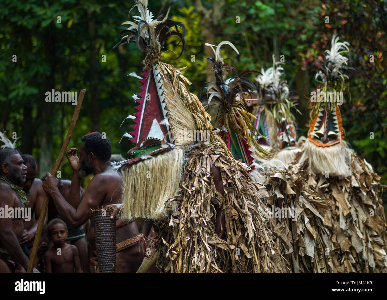 Tribesmen dressed in colorful masks and costumes made from the leaves ...