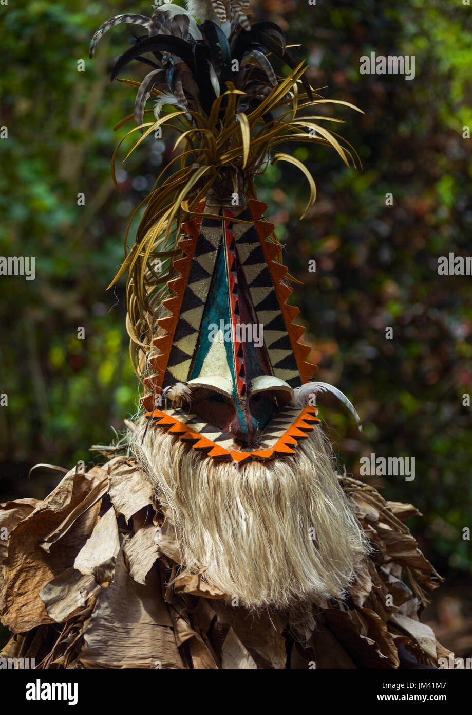 Tribesmen dressed in colorful masks and costumes made from the leaves ...