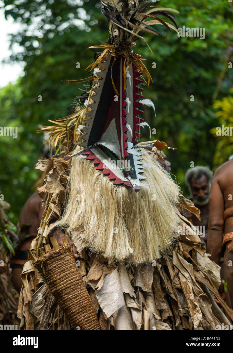 Tribesmen dressed in colorful masks and costumes made from the leaves ...
