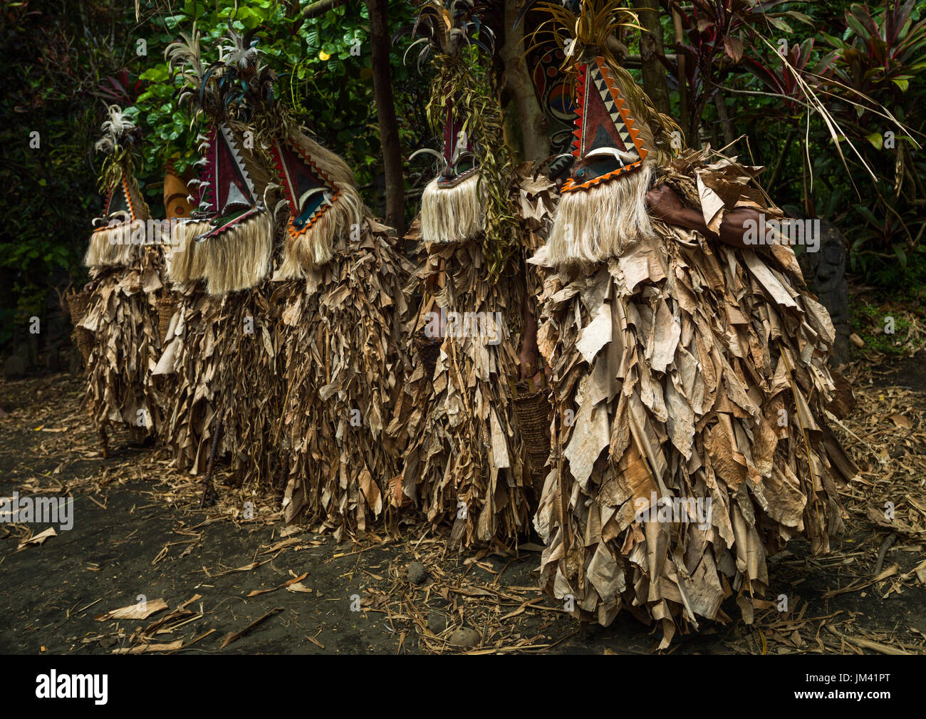 Tribesmen dressed in colorful masks and costumes made from the leaves ...