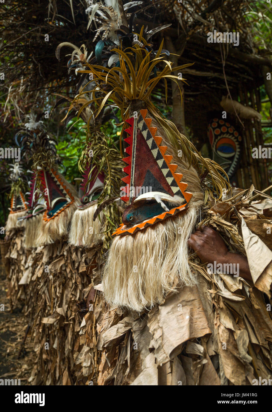 Tribesmen dressed in colorful masks and costumes made from the leaves ...