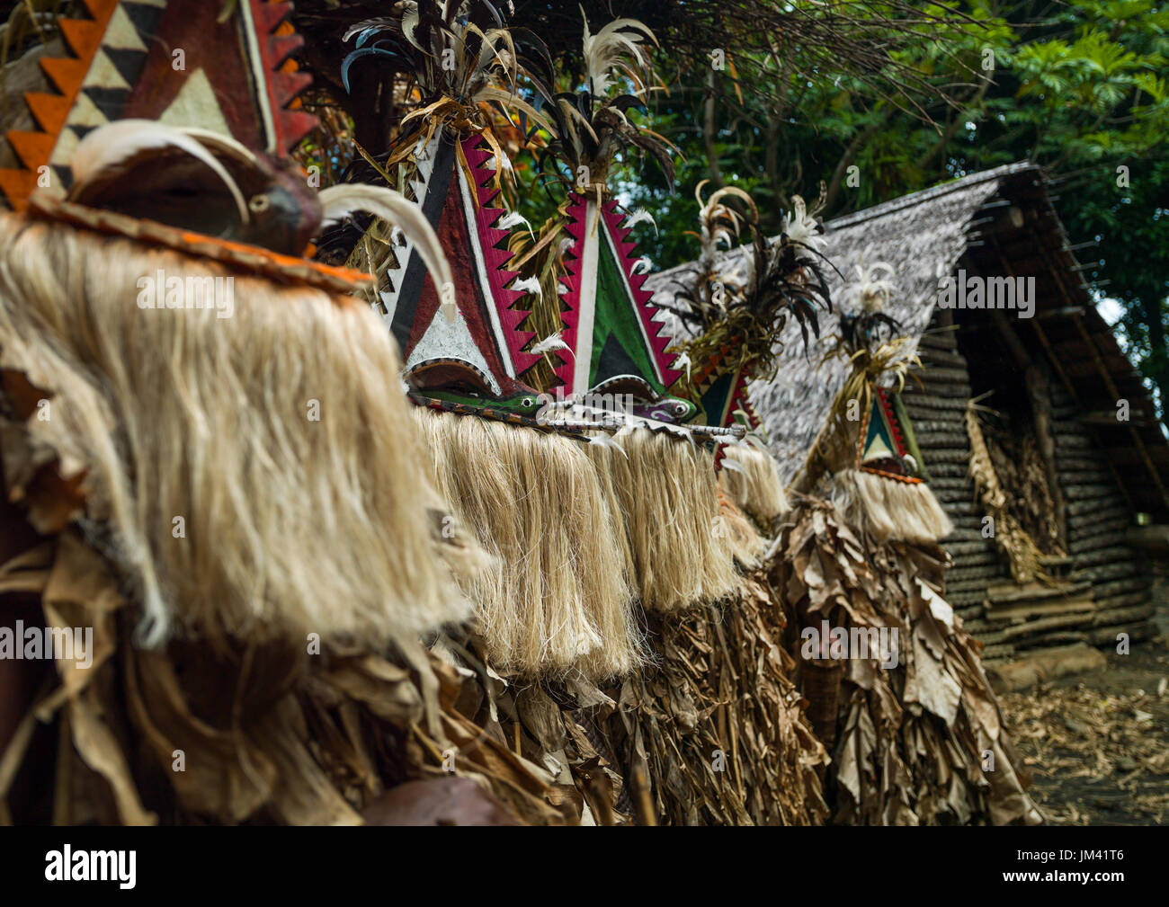 Tribesmen dressed in colorful masks and costumes made from the leaves ...